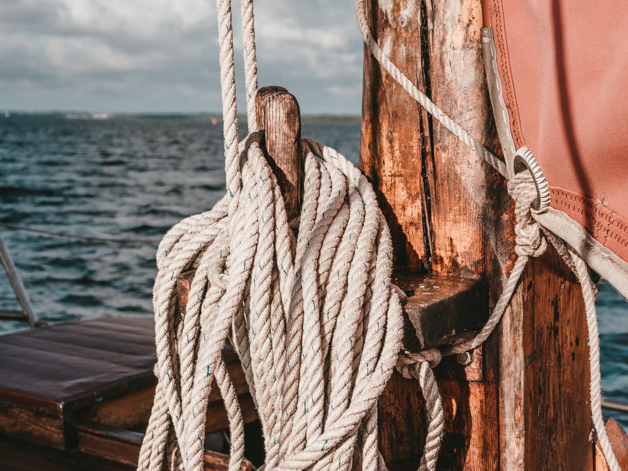 Toos Lemmens: > 28 years of experience in medical scientific research