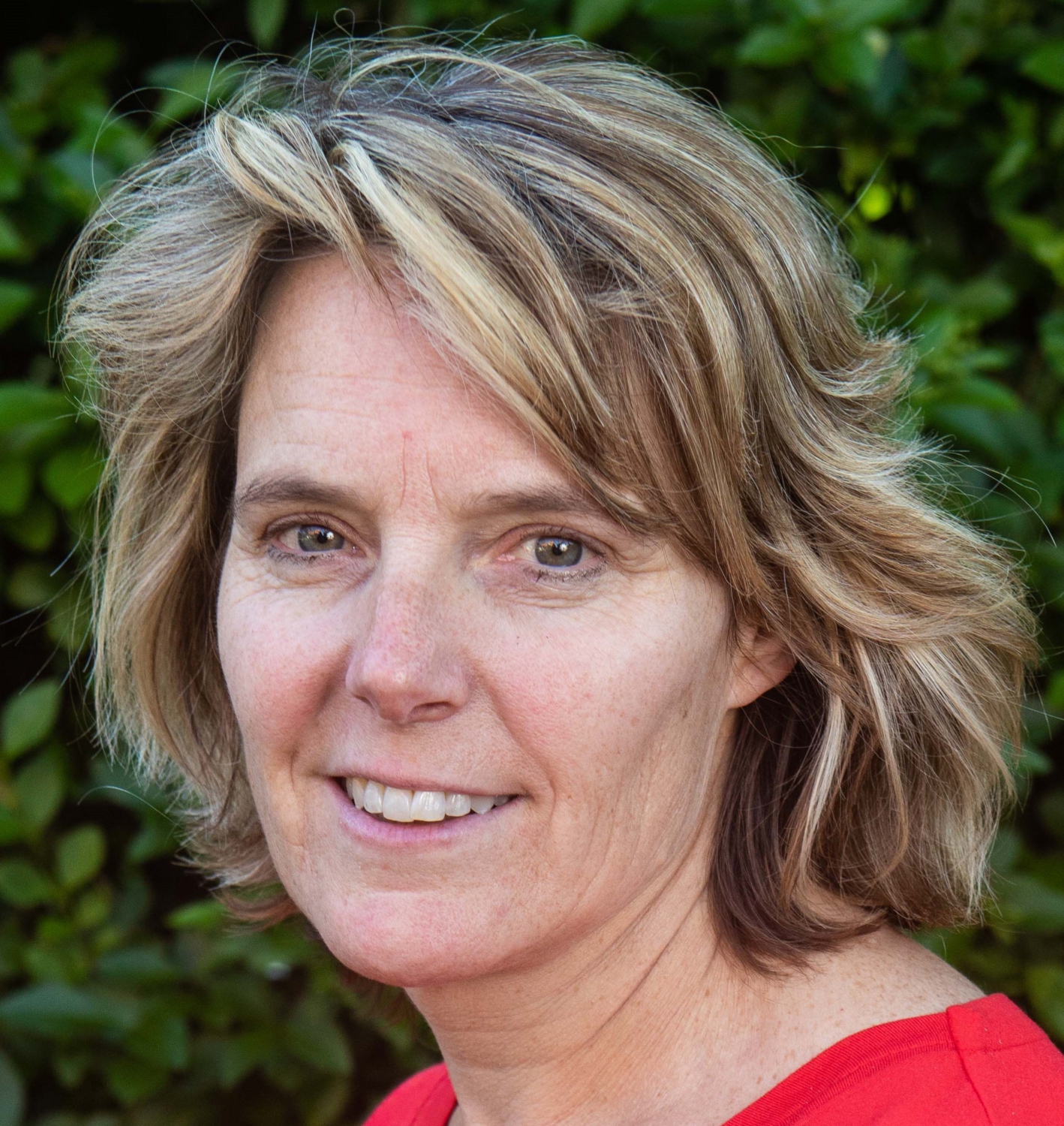 Meet the partners of the TAPAS team!